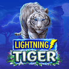 Play Online Slot Games at Midnite Casino - Midnite